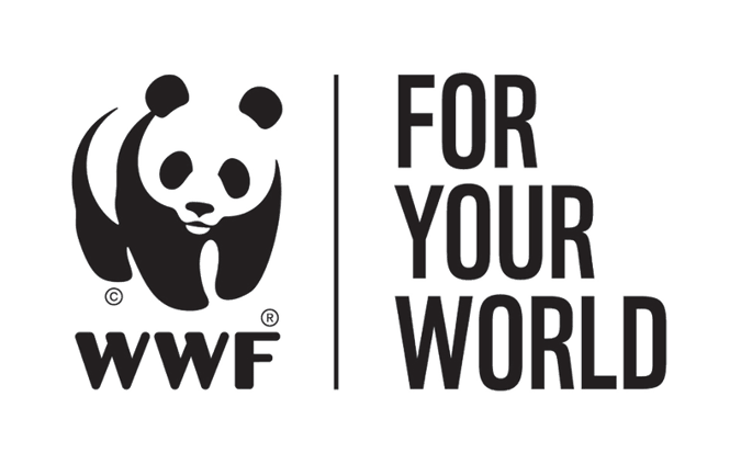 What is International Marketing? Definition, Examples & Benefits